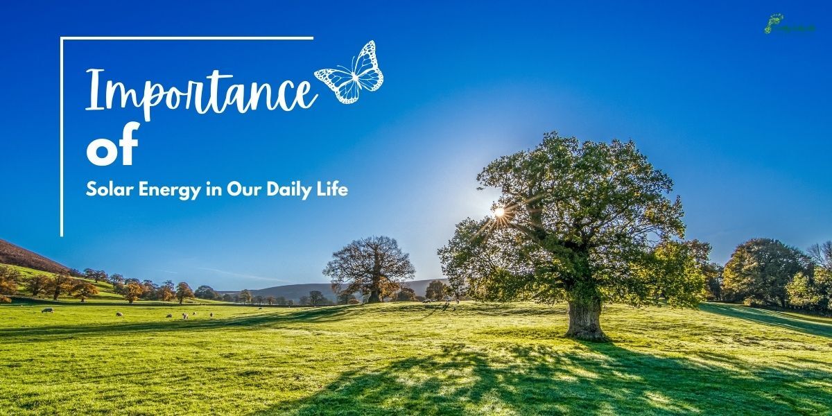 Importance of Solar Energy in Our Daily Life - Friendly Foot Prints